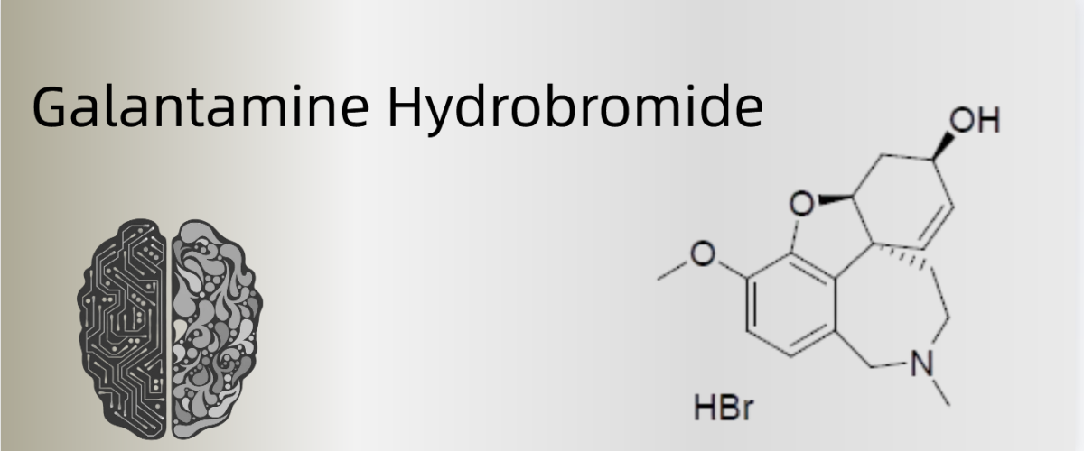 News - Nootropic Spotlight: How Galantamine Hydrobromide Supports ...
