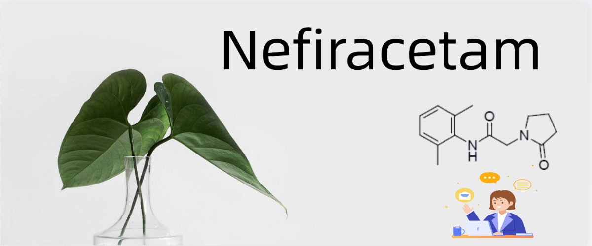 News - The Potential Health Benefits of Nefiracetam: An In-Depth Analysis