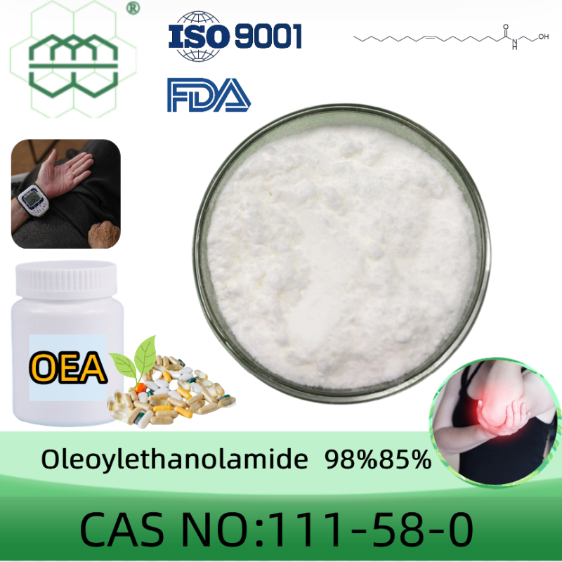 High Quality Oleoylethanolamide (OEA) powder manufacturer CAS No.: 111 ...