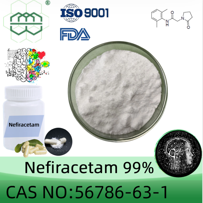 High Quality Nefiracetam powder manufacturer CAS No.: 77191-36-7 99% ...