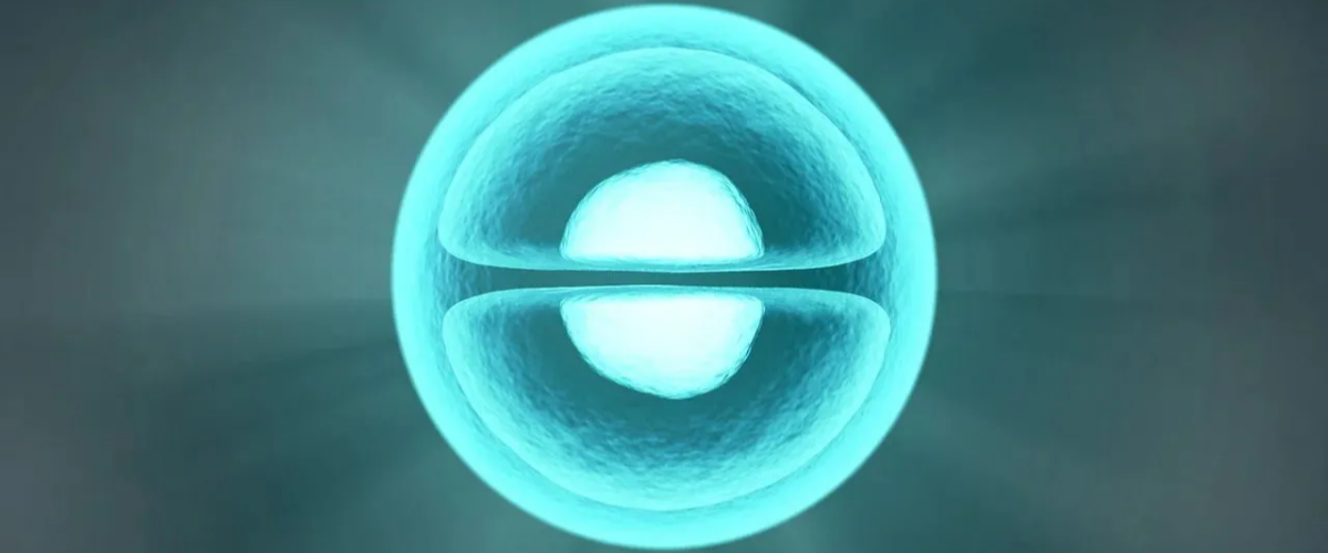 News - Urolithin A: The Promising Anti-Aging Compound