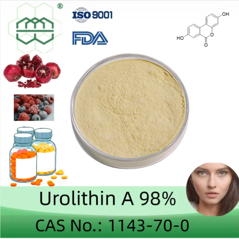 High Quality Urolithin A powder manufacturer CAS No.: 1143-70-0 98.0% ...