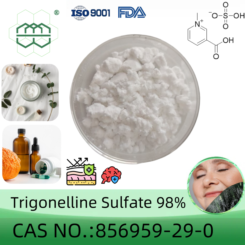 High Quality Trigonelline Sulfate CAS No.:856959-29-0 98% purity min ...
