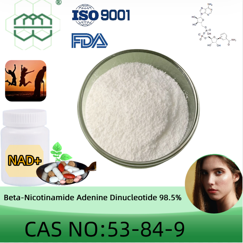 High Quality Beta-Nicotinamide Adenine Dinucleotide(NAD+) powder manufacturer CAS No.: 53-84-9 ...