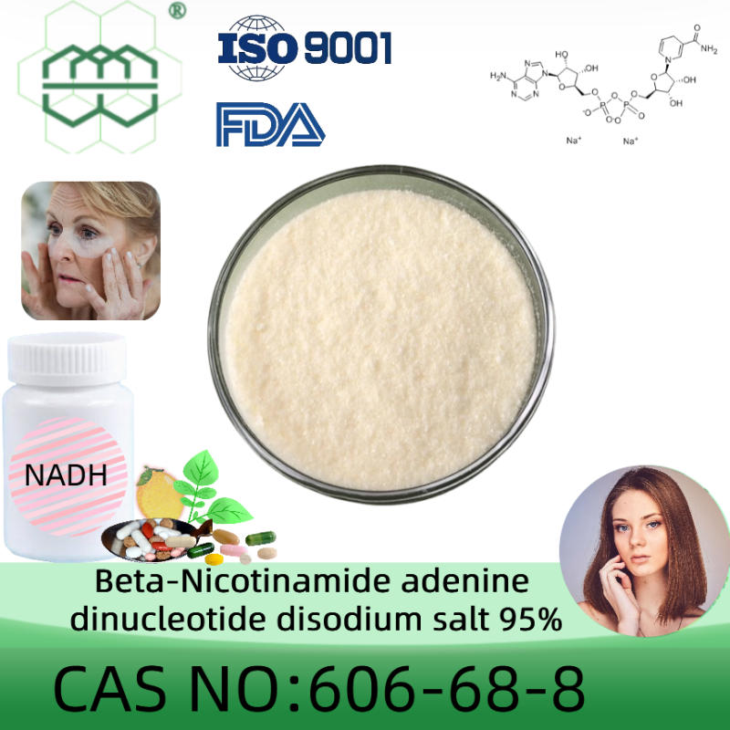 High Quality Beta-Nicotinamide adenine dinucleotide disodium salt (NADH) powder manufacturer CAS ...